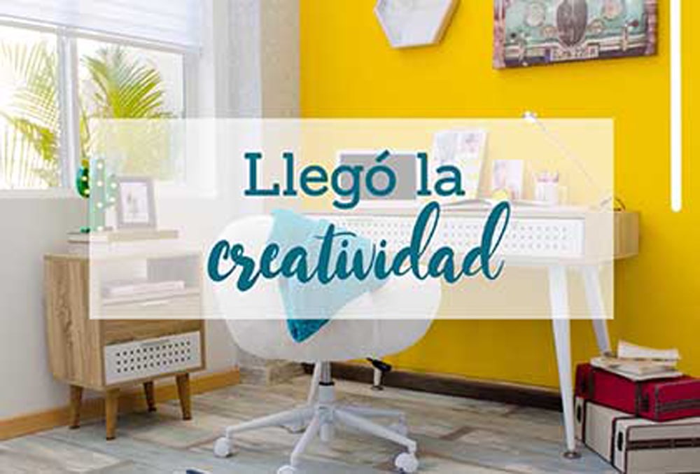 Videos - Just Home Collection